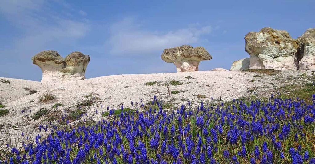 What To Visit In Bulgaria In Spring? | Balkan Trails