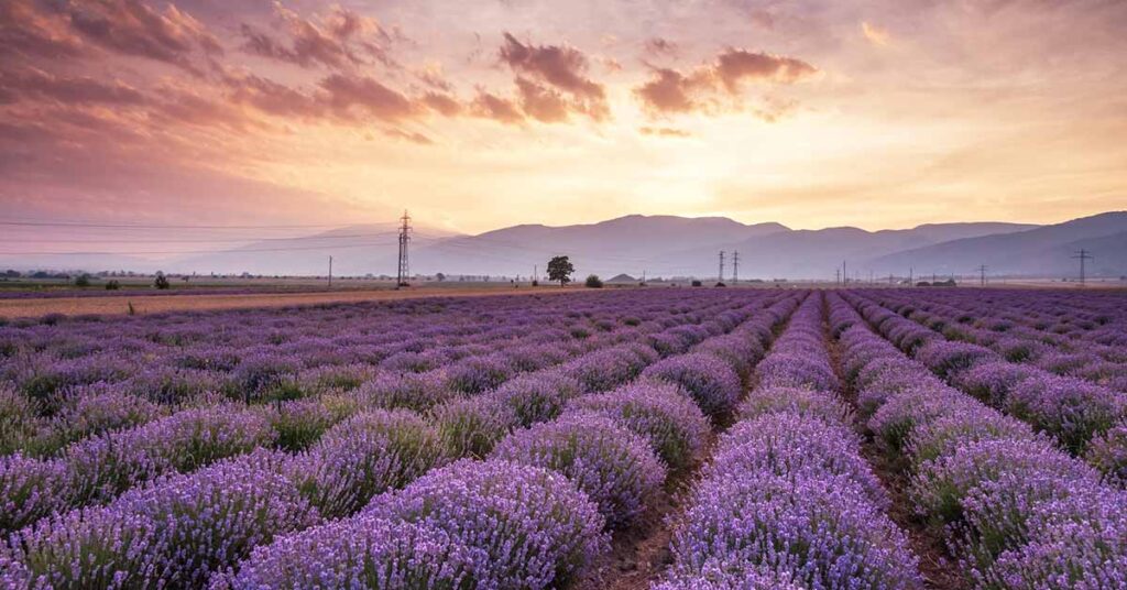 What To Visit In Bulgaria In Spring? | Balkan Trails