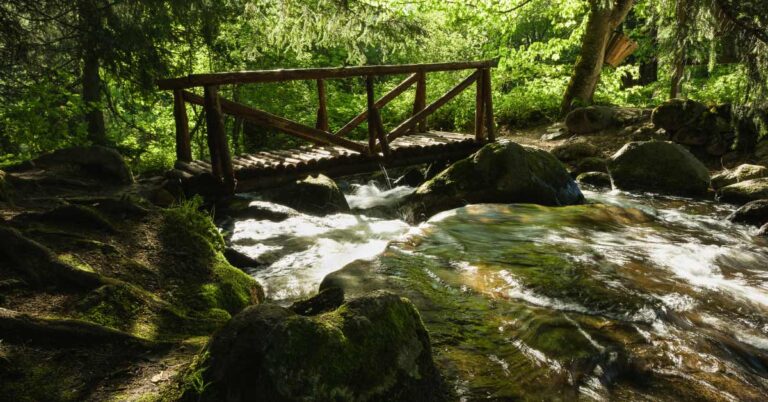 Bulgaria's most beautiful National and Natural Parks