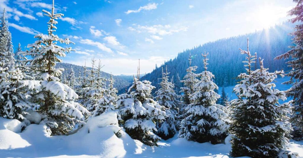 Winter traditions in Romania and Bulgaria - Balkan Trails