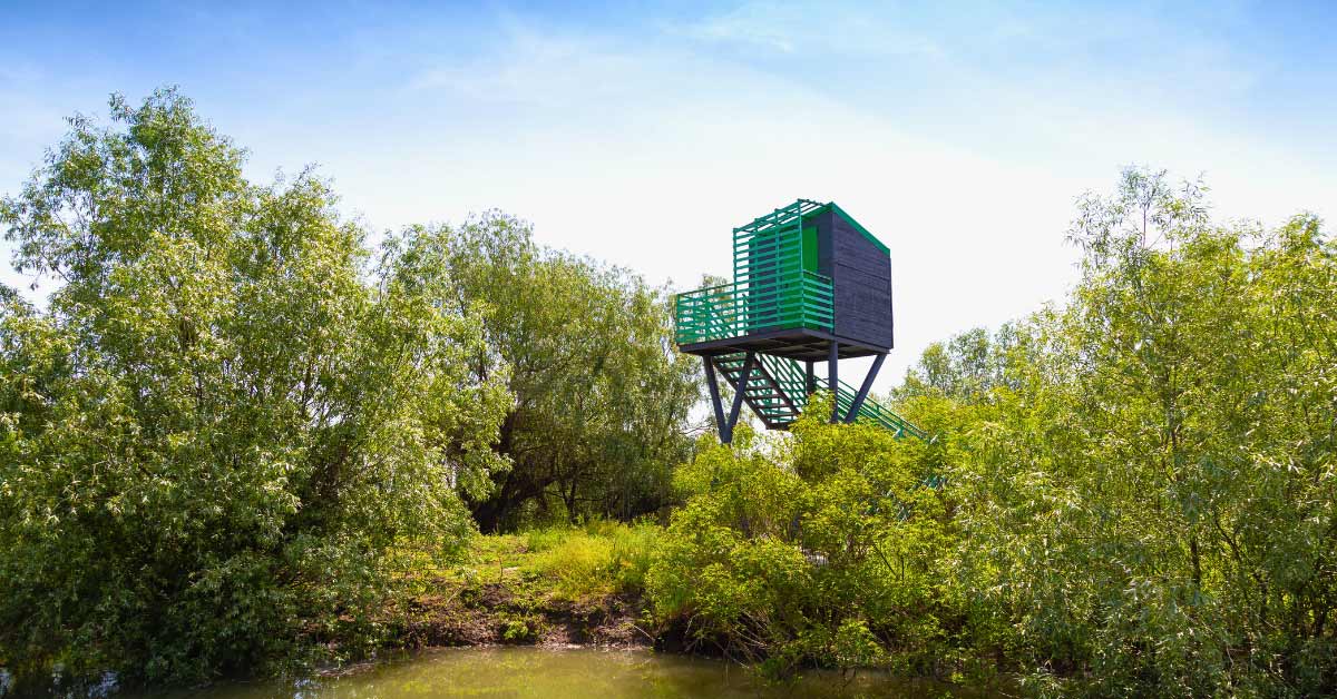 The Danube Delta, Europe’s largest and best-preserved delta