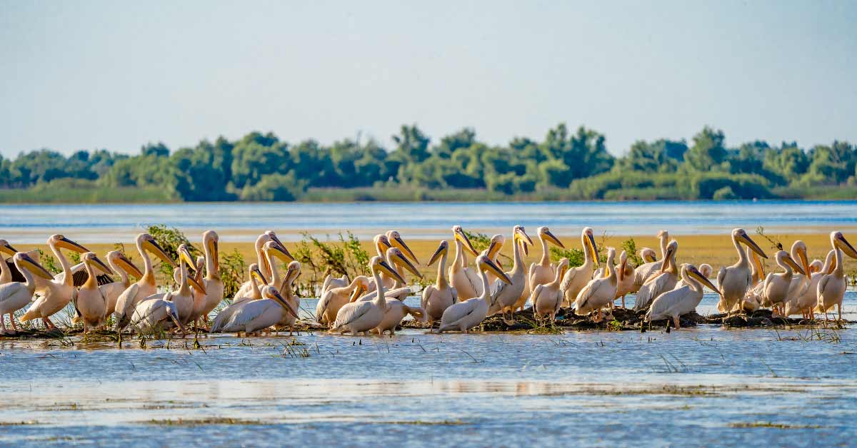 The Danube Delta, Europe’s largest and best-preserved delta